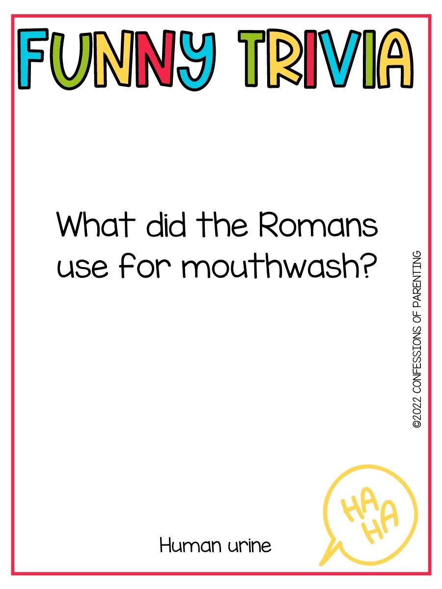 Best Funny Trivia Questions for Kids