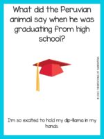100 The Best Graduation Jokes