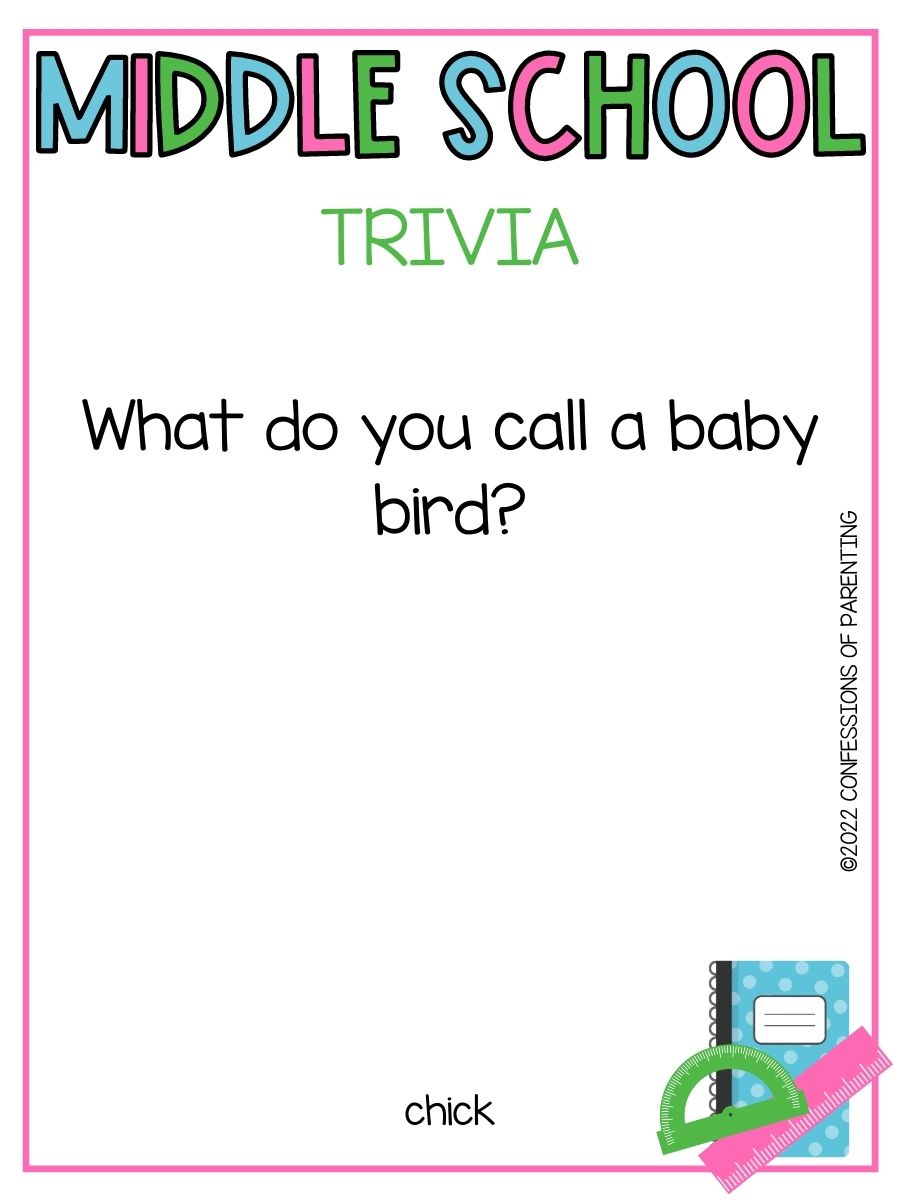 50 Middle School Trivia Questions