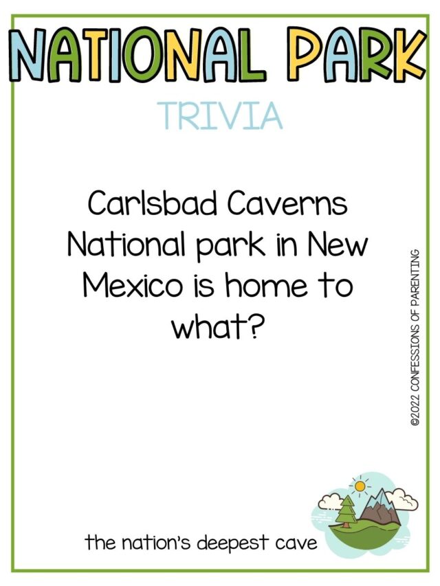 100 Best National Park Trivia