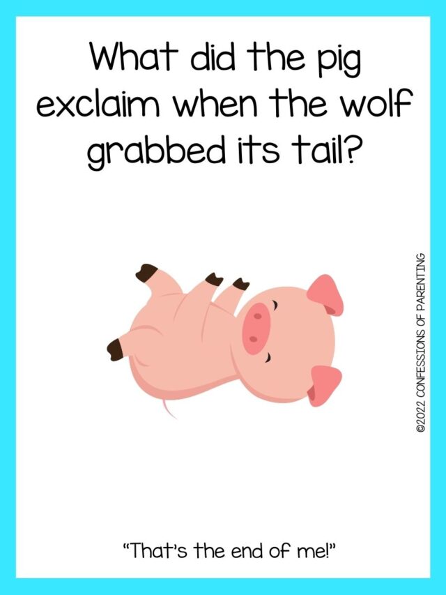 100 of the Best Pig Jokes to Make You Snort!