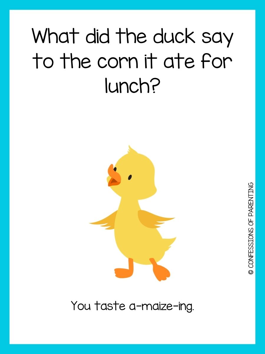 110 Duck Jokes That Make You Quack Up!