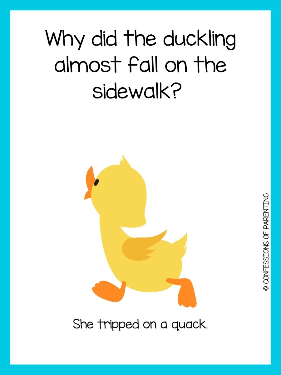 110 Duck Jokes That Make You Quack Up!