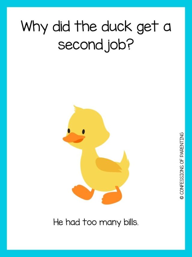 110 Duck Jokes That Make You Quack Up!