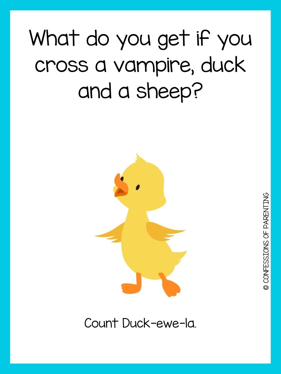 110 Duck Jokes That Make You Quack Up!