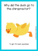 110 Duck Jokes That Make You Quack Up!