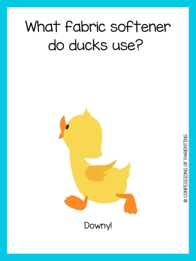110 Duck Jokes That Make You Quack Up!