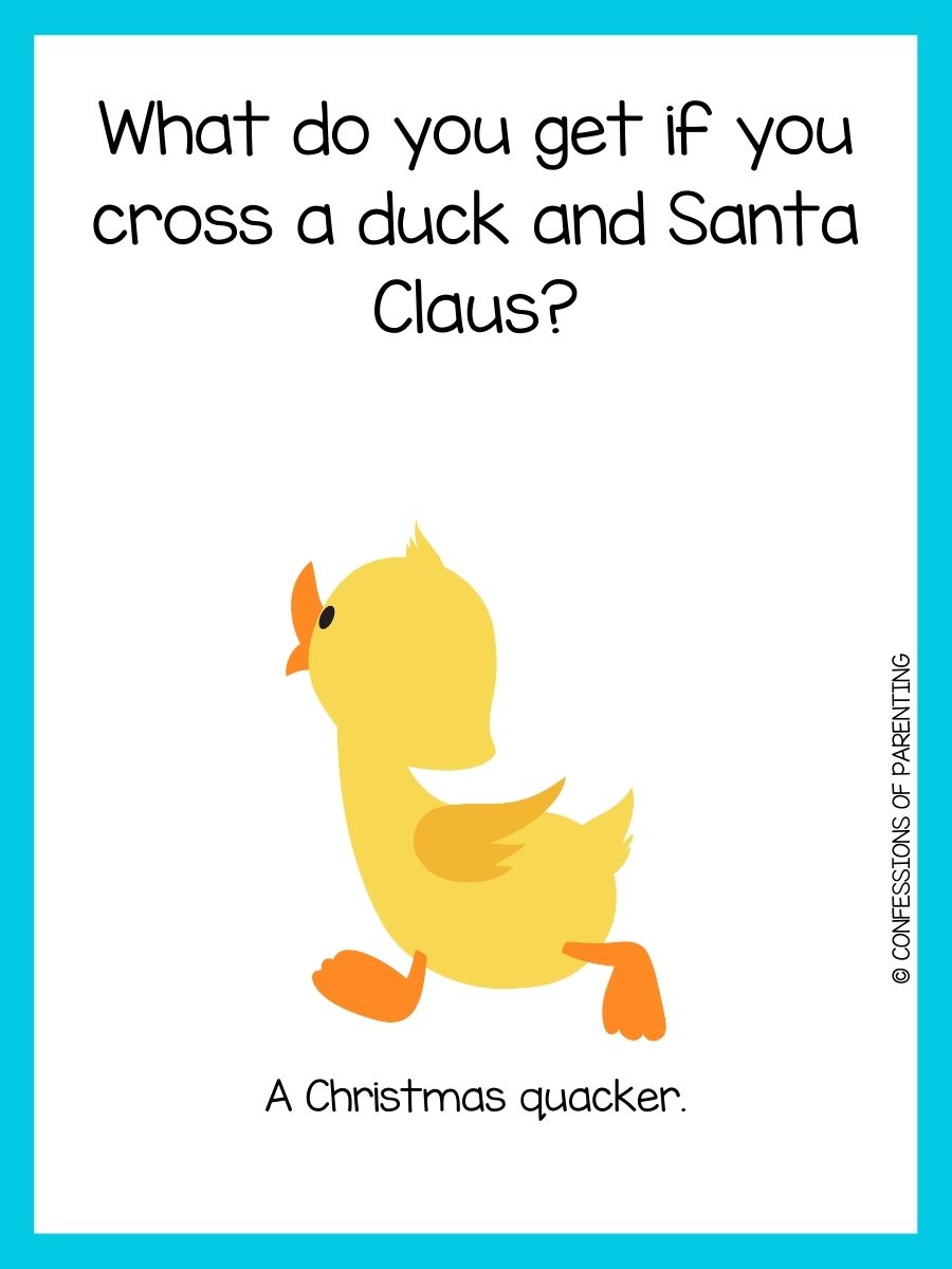 110 Duck Jokes That Make You Quack Up!