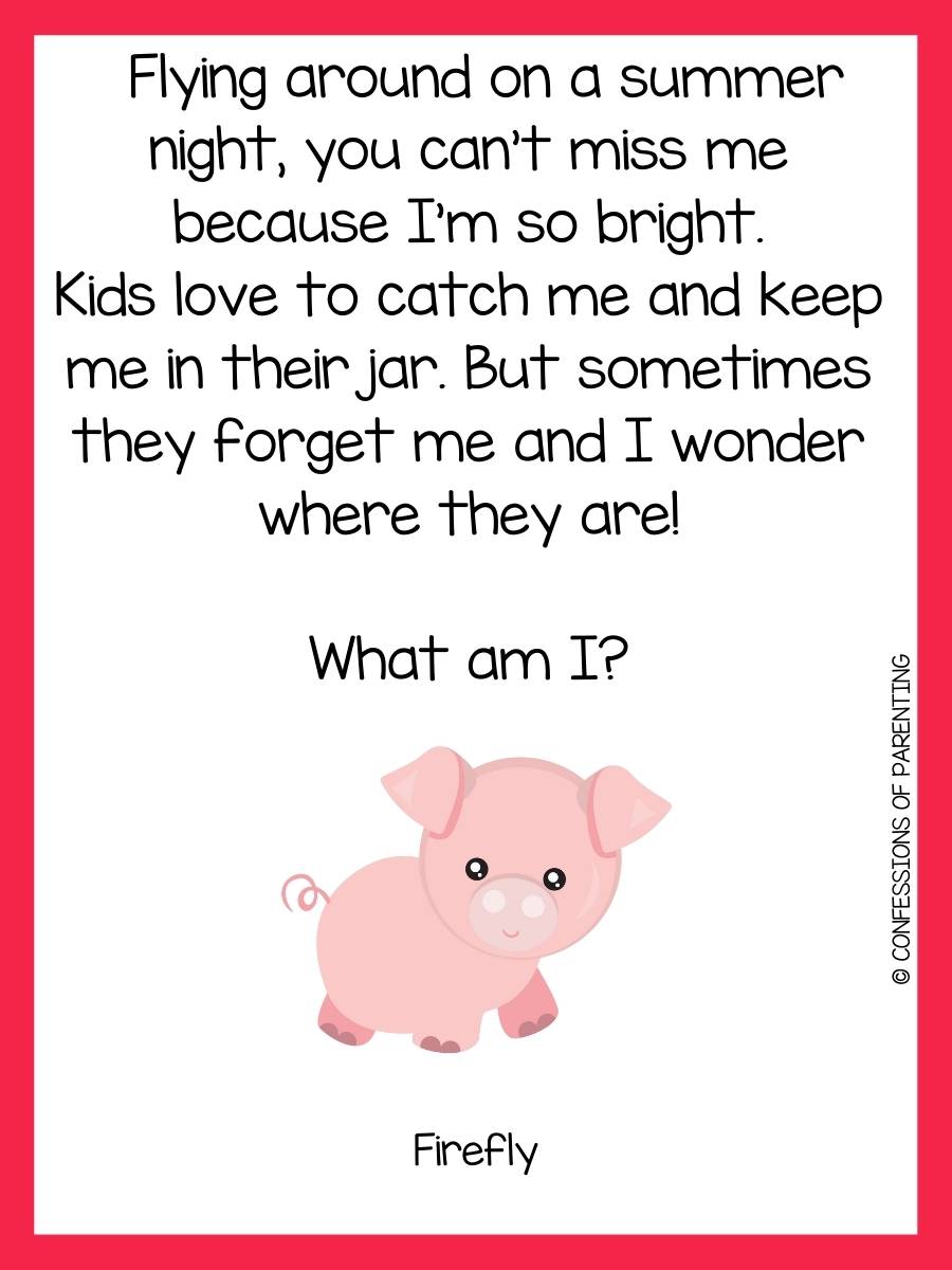 200 Best Animal Riddles That Will Leave You Laughing
