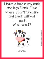 200+ Animal Riddles for Kids & Families (With Answers)