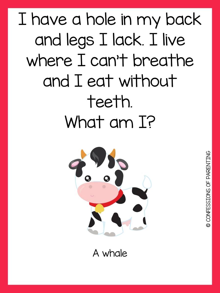 200 Best Animal Riddles That Will Leave You Laughing