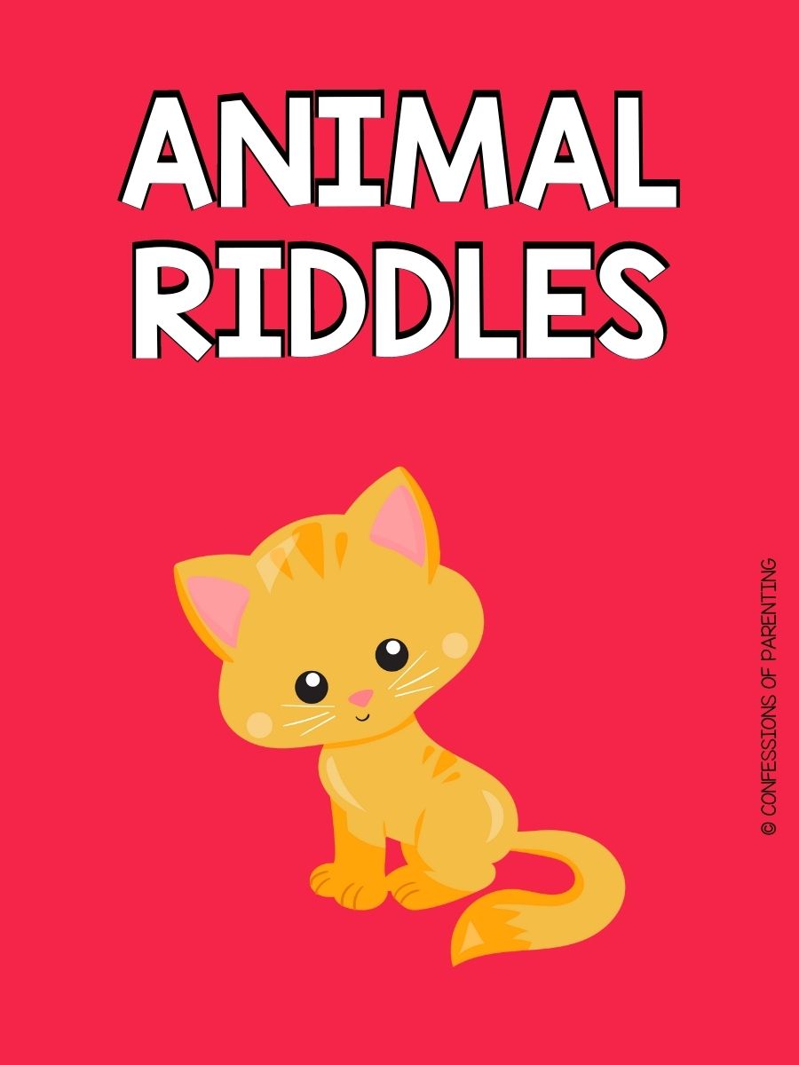 200 Best Animal Riddles That Will Leave You Laughing