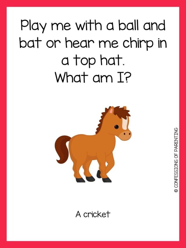 200+ Animal Riddles for Kids & Families (With Answers)