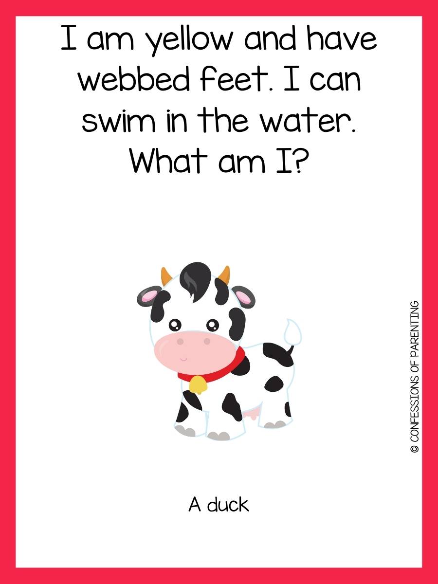 200 Best Animal Riddles That Will Leave You Laughing