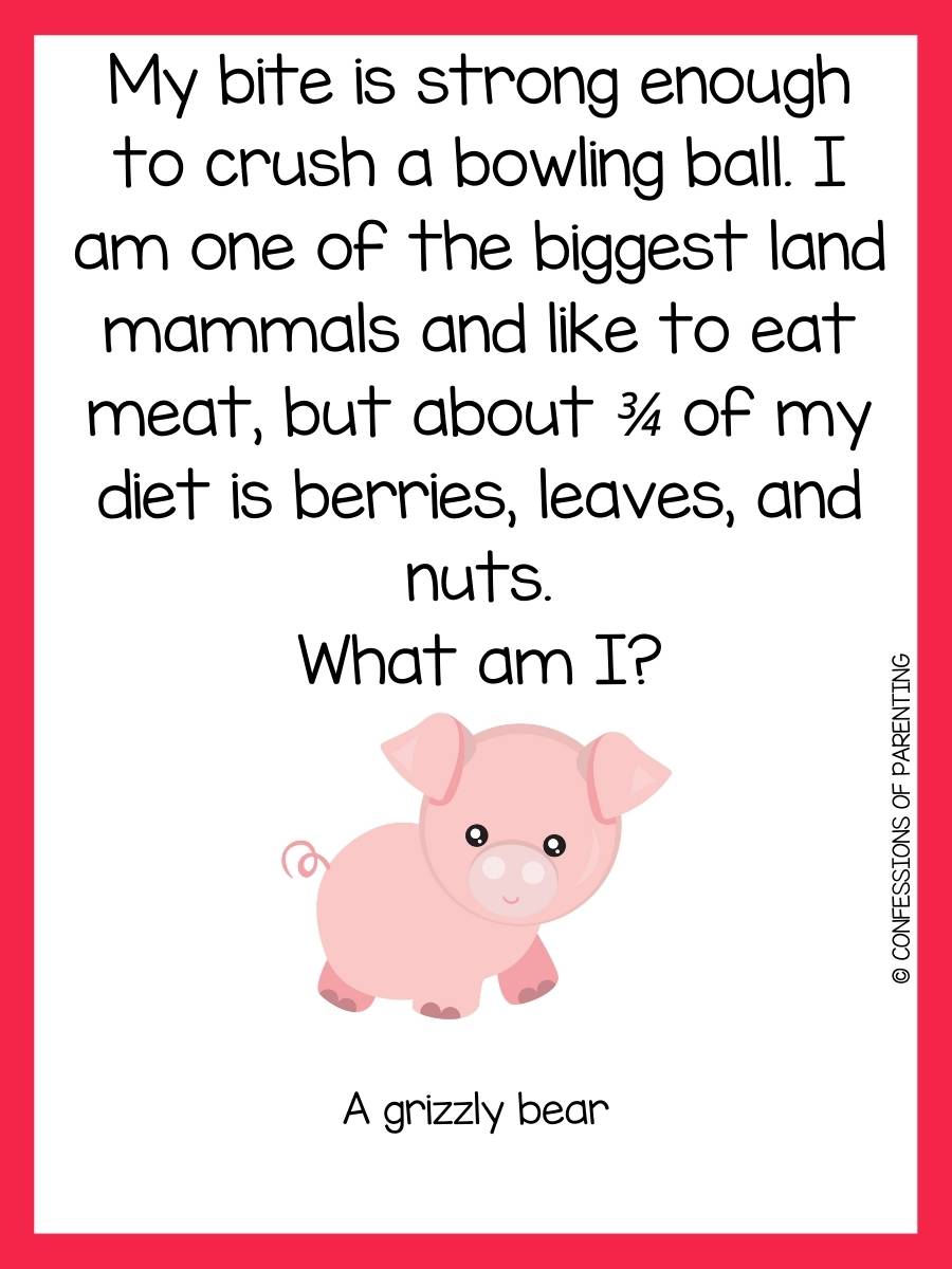 200 Best Animal Riddles That Will Leave You Laughing