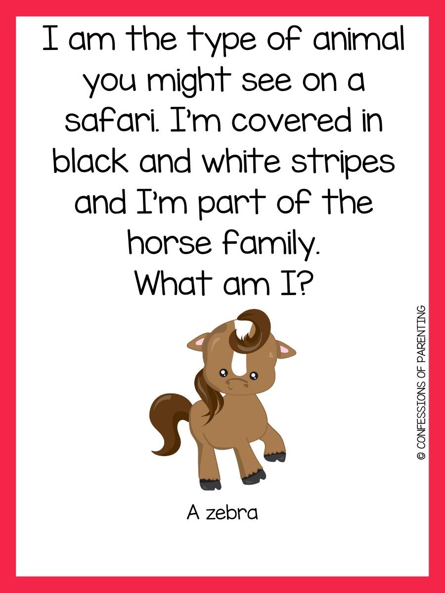 200 Best Animal Riddles That Will Leave You Laughing