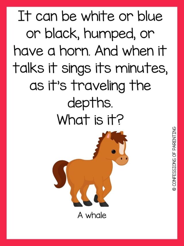 200 Best Animal Riddles That Will Leave You Laughing