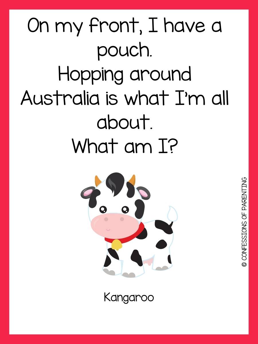 200 Best Animal Riddles That Will Leave You Laughing