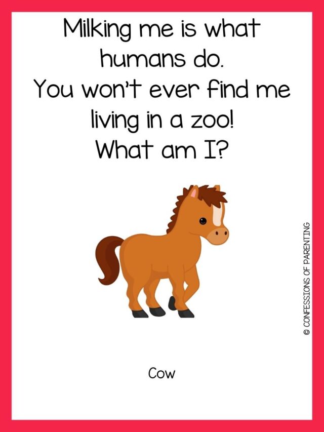 200 Best Animal Riddles That Will Leave You Laughing