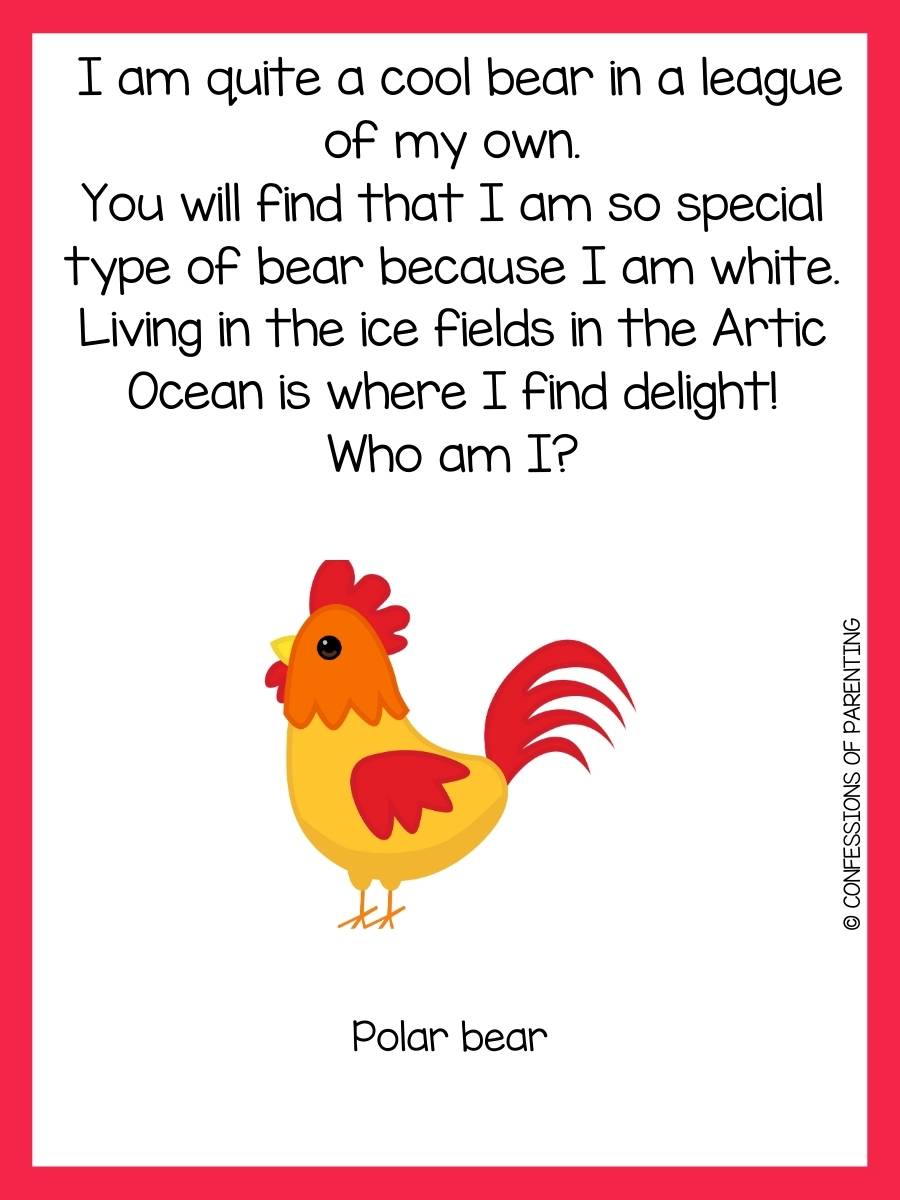 200 Best Animal Riddles That Will Leave You Laughing