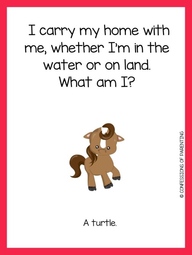 200 Best Animal Riddles That Will Leave You Laughing