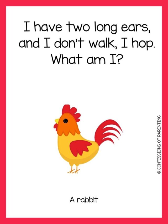 200 Best Animal Riddles That Will Leave You Laughing