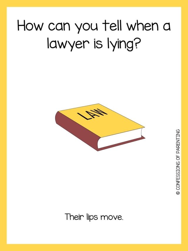 165 Best Lawyer Jokes No One Will Object To
