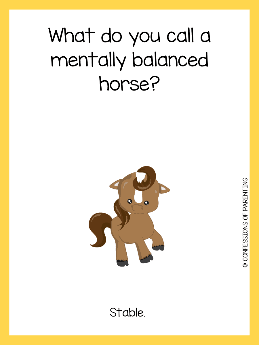 110 The Funniest Horse Jokes That Make You Giddy Up and Giggle