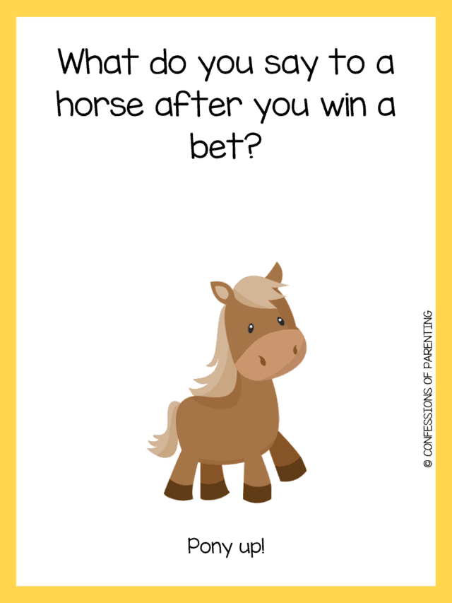 110 The Funniest Horse Jokes That Make You Giddy Up and Giggle [Free ...
