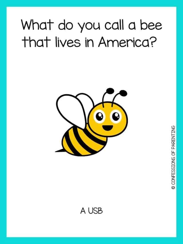 110 Best Bee Jokes That Will Get You Buzzing With Laughter