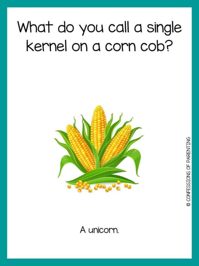 105 Best Corn Jokes That Will Have You Popping with Laughter