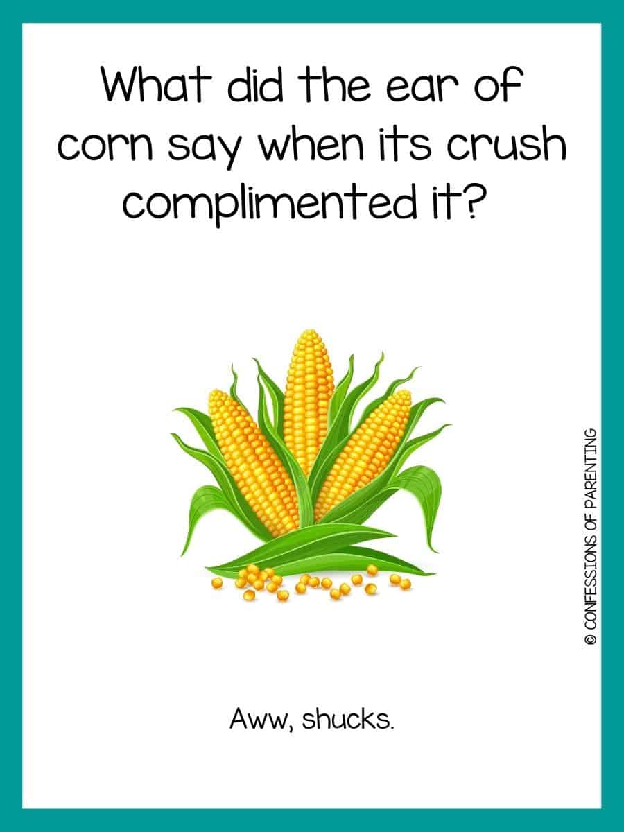 105 Best Corn Jokes That Will Have You Popping with Laughter