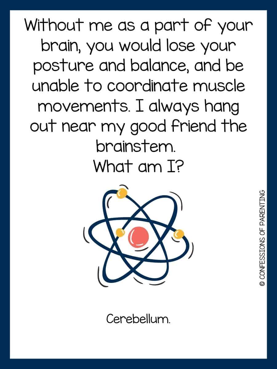 135 Awesome Science Riddles That Even Einstein Would Love