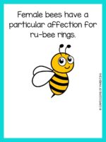 110 Best Bee Jokes That Will Get You Buzzing With Laughter [Free Joke ...