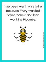 110 Best Bee Jokes That Will Get You Buzzing With Laughter