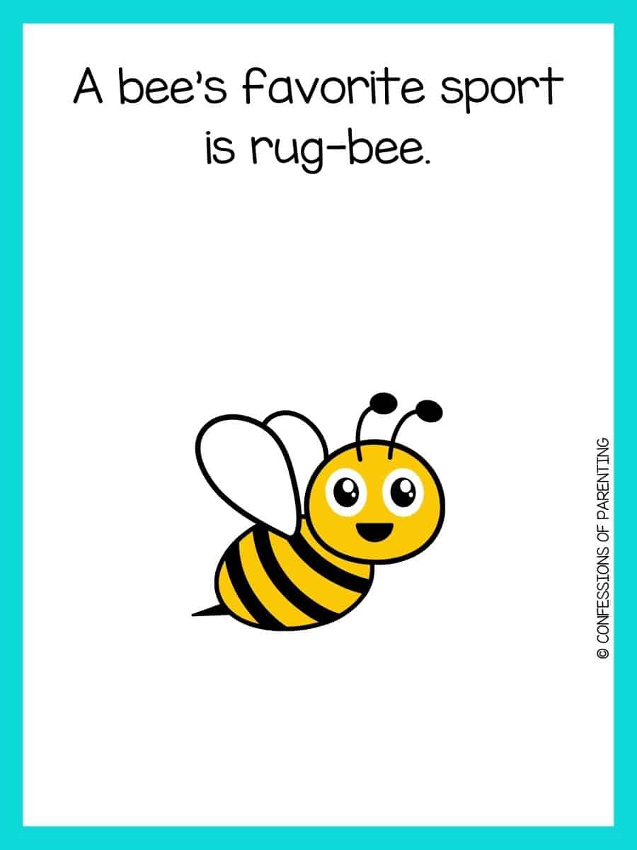 110 Best Bee Jokes That Will Get You Buzzing With Laughter