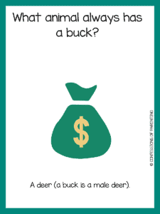 50 Best Money Riddles [Free Riddle Cards]