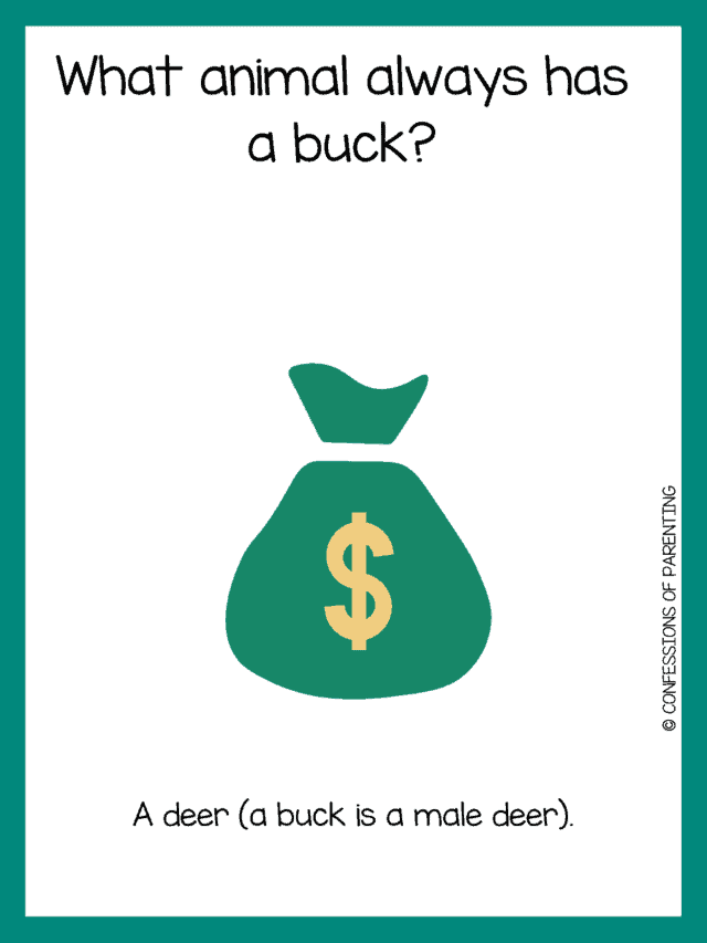 50 Best Money Riddles [Free Riddle Cards]