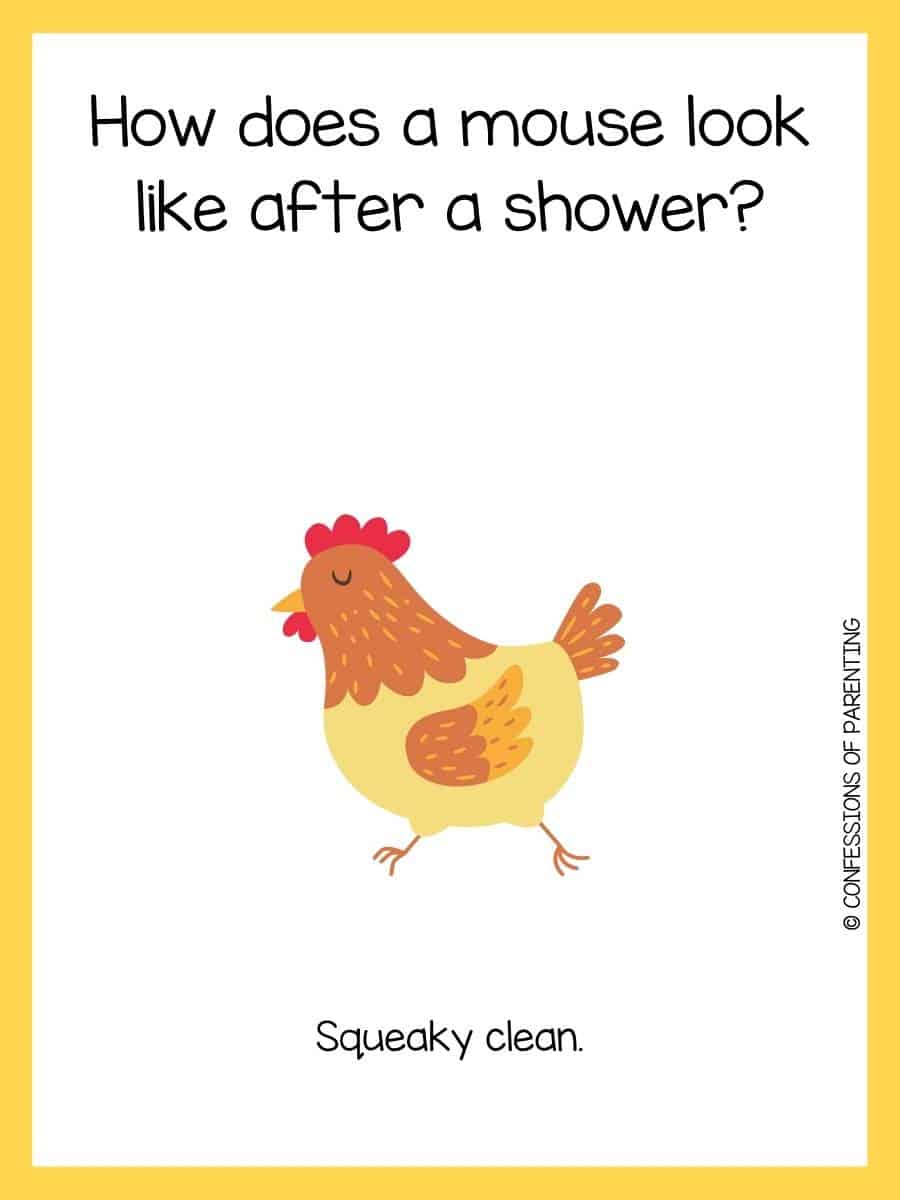 180 Funny Animal Jokes For Kids That Will Make You LOL [Free Joke Cards]