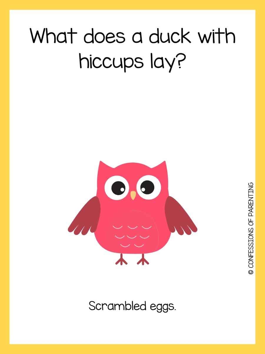180 Funny Animal Jokes For Kids That Will Make You LOL