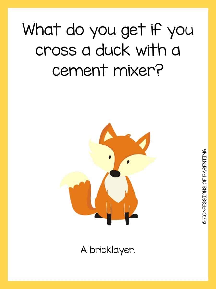 180 Funny Animal Jokes For Kids That Will Make You LOL