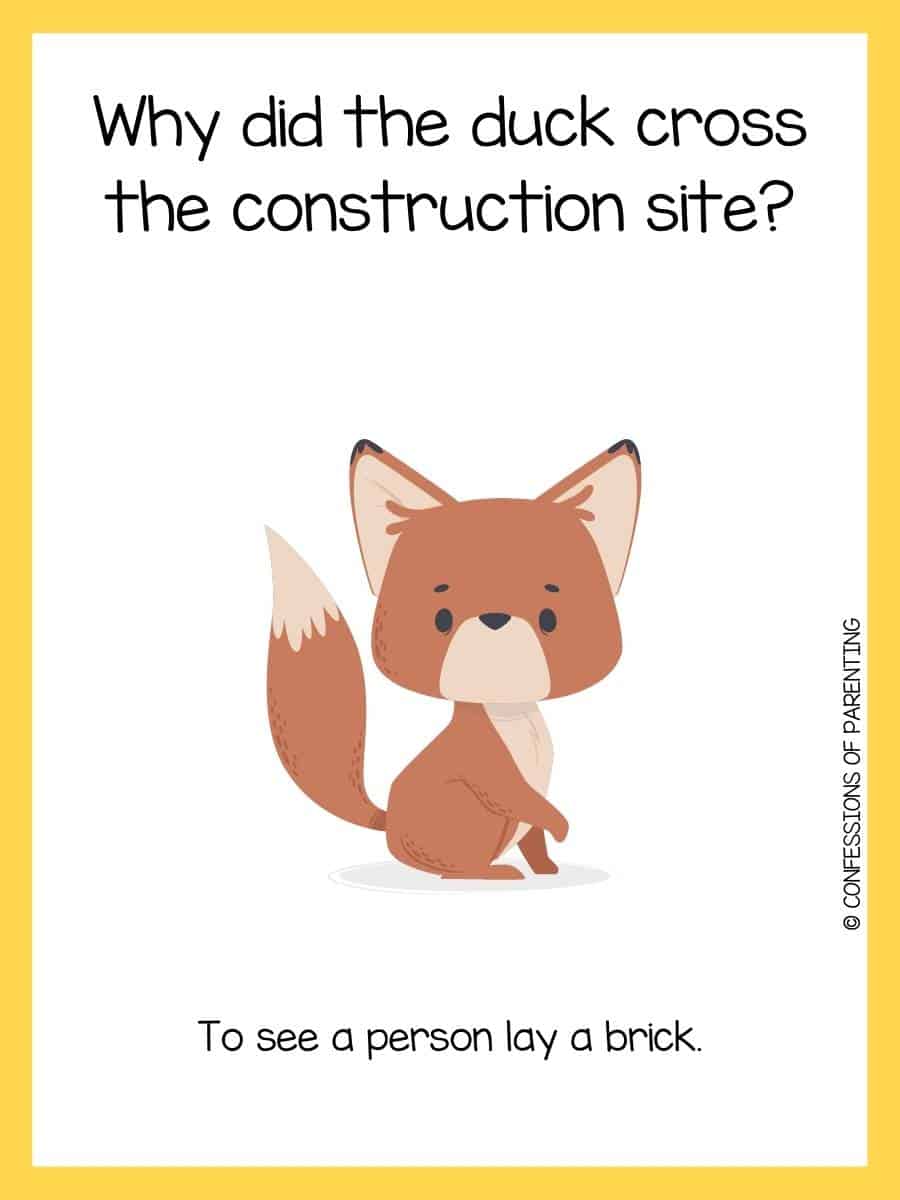 180 Funny Animal Jokes For Kids That Will Make You LOL
