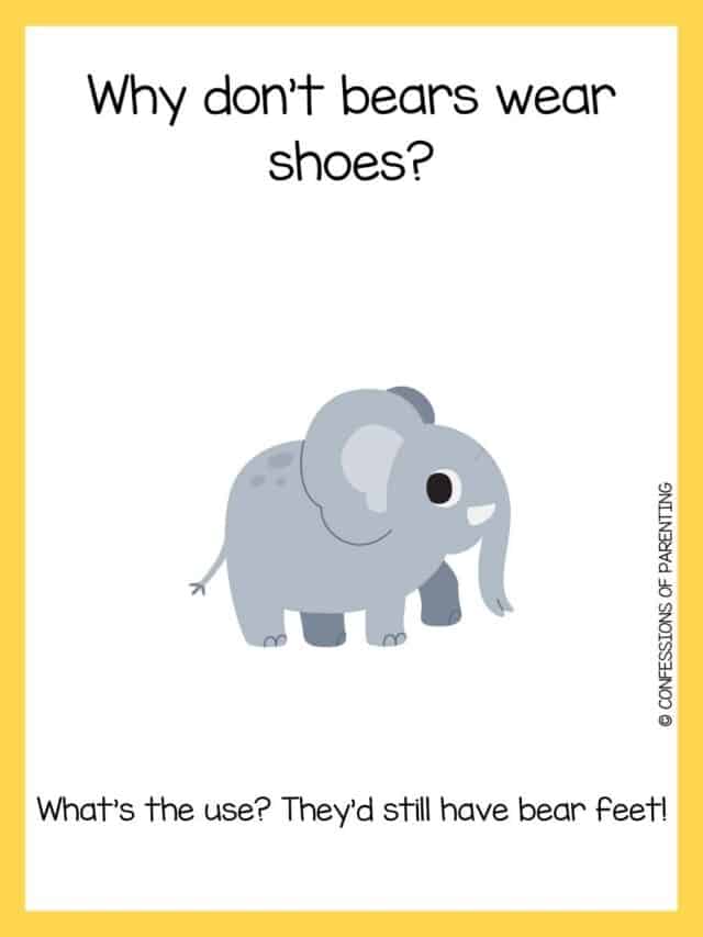 180 Funny Animal Jokes For Kids That Will Make You LOL