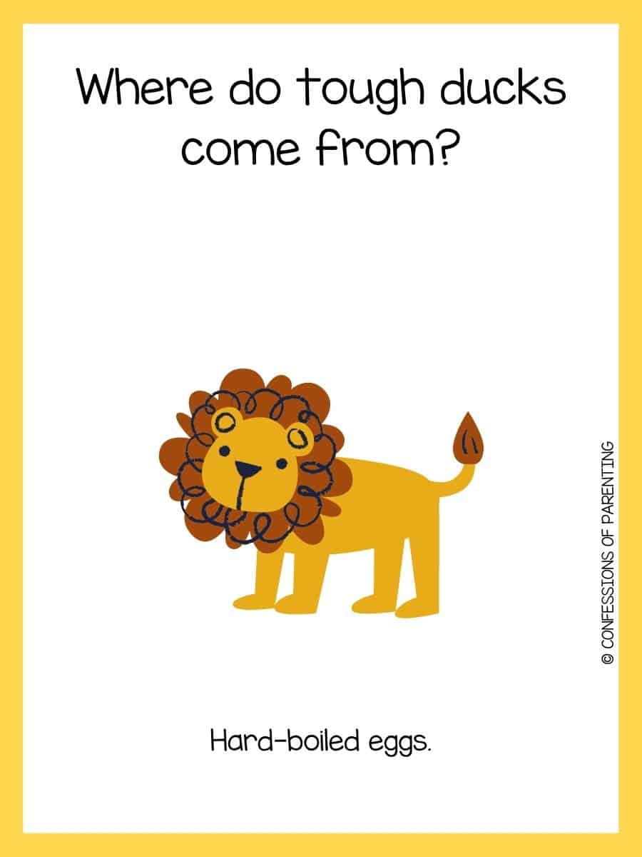 180 Funny Animal Jokes For Kids That Will Make You LOL