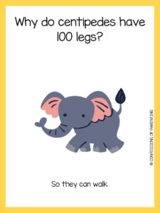 180 Funny Animal Jokes For Kids That Will Make You LOL