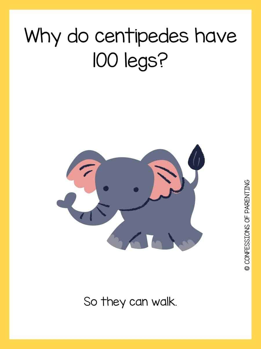 180 Funny Animal Jokes For Kids That Will Make You LOL