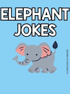 115 Funny Elephant Jokes That Make You LOL