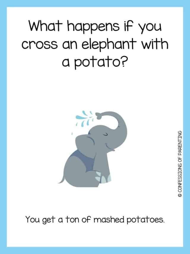 115 Funny Elephant Jokes That Make You LOL