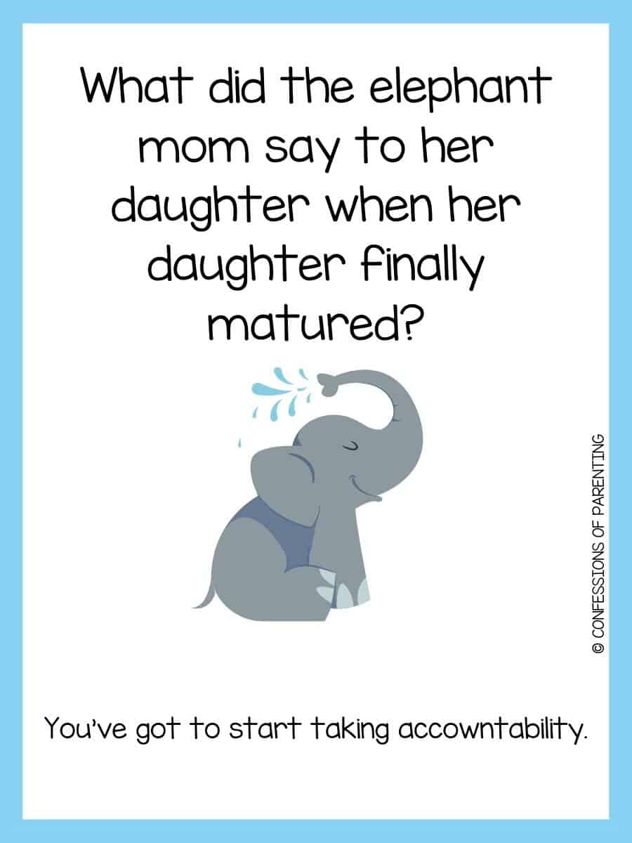 115 Funny Elephant Jokes That Make You LOL