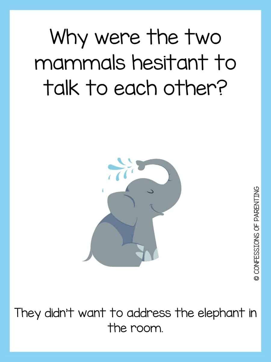 115 Funny Elephant Jokes That Make You LOL